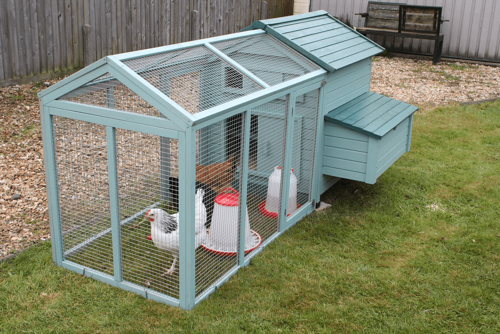 Chicken Coops And Runs That Will Deliver Happy Chickens