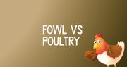 What Is The Difference Between Fowl And Poultry?